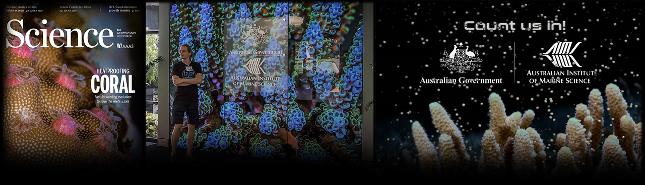 BioQuest Productions – Advanced Underwater Imaging Productions